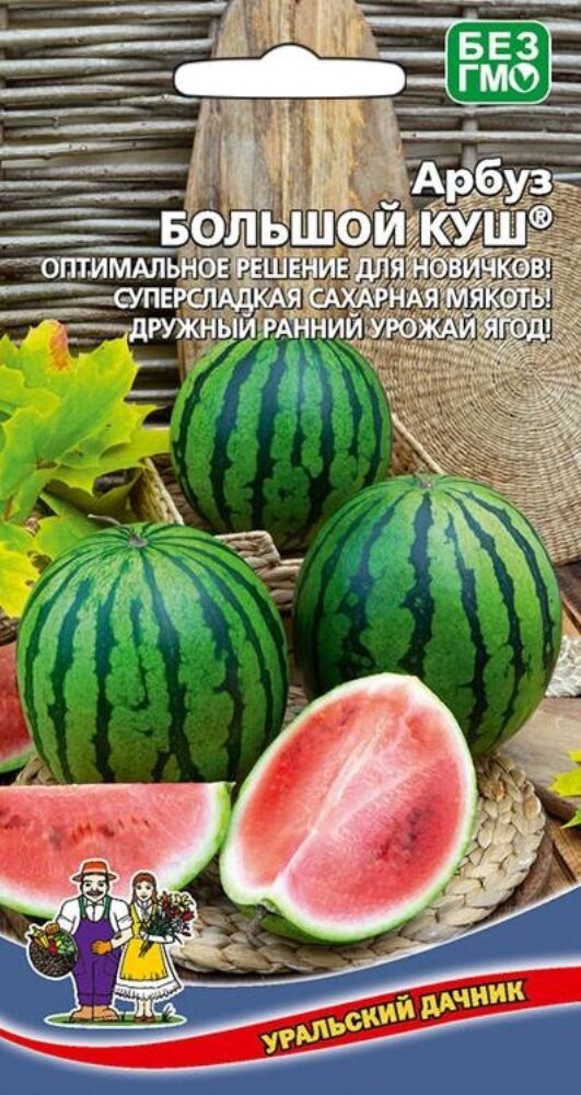 Арбуз Большой куш 10шт Ранн (Уральский Дачник)