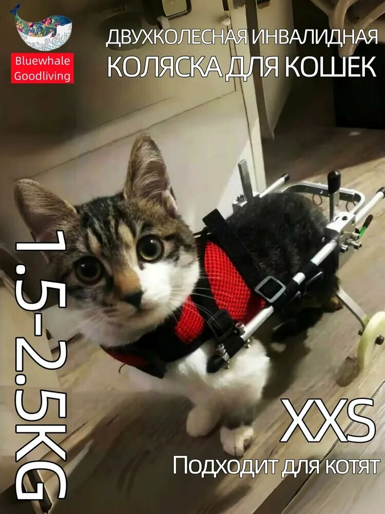 Инвалидная коляска для кошек, двухколесная, реабилитационная, XXS