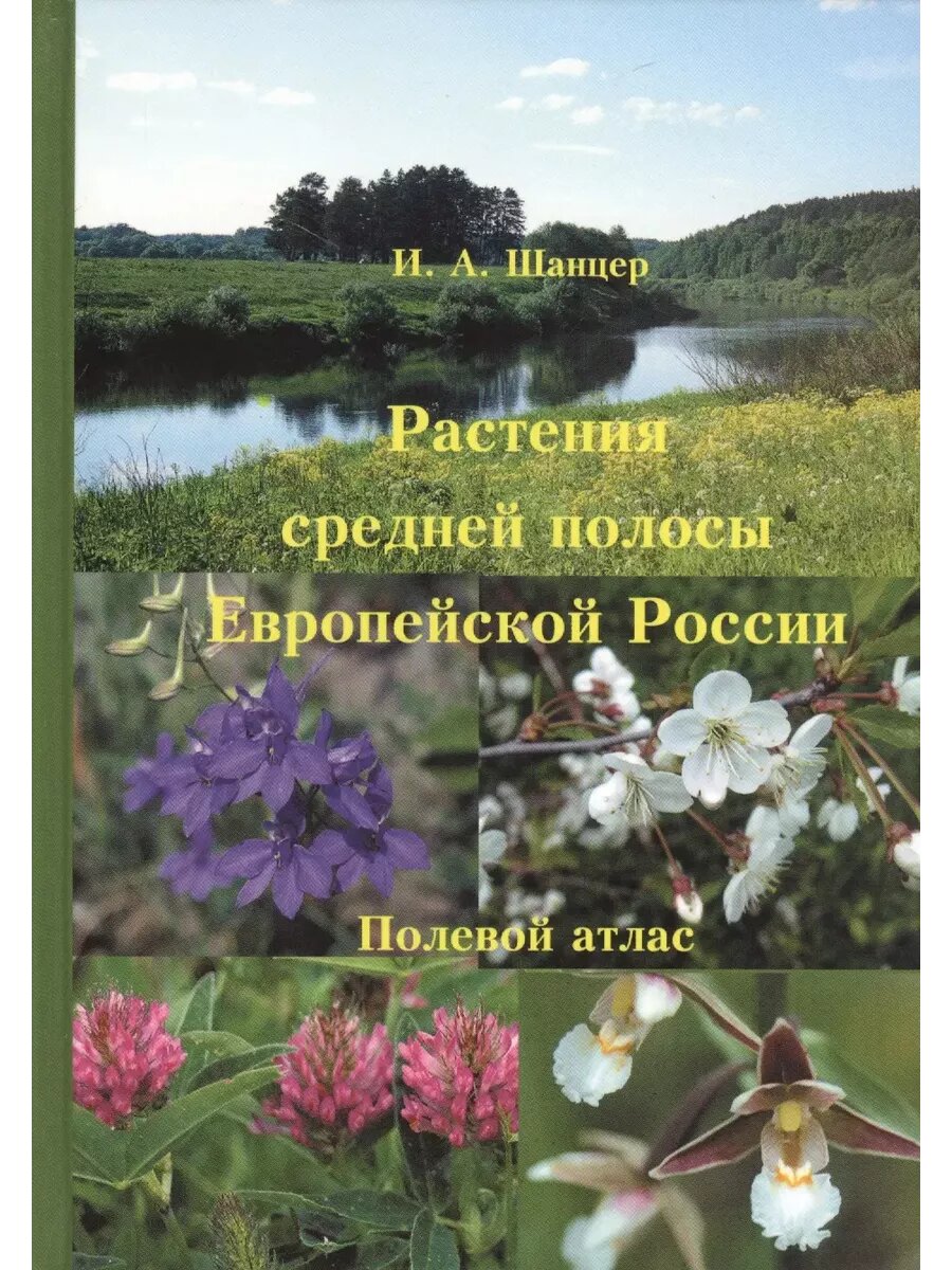 Растения средней полосы Европейской России. Полевой атлас. 5