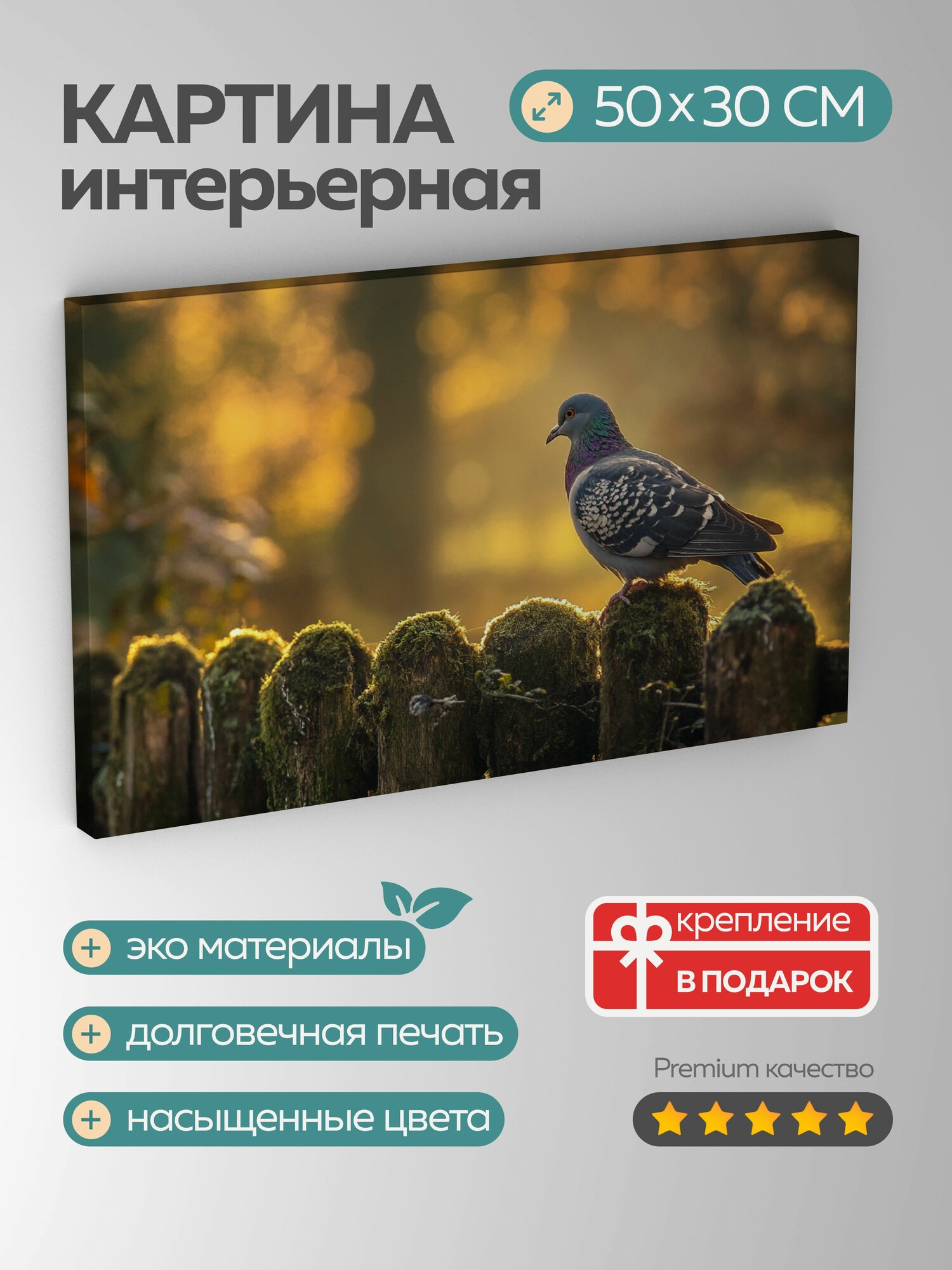 Картина на холсте интерьерная 50х30 см, голубь, ветхий забор, птичье оперение, текстура, свет, тени, ностальгия