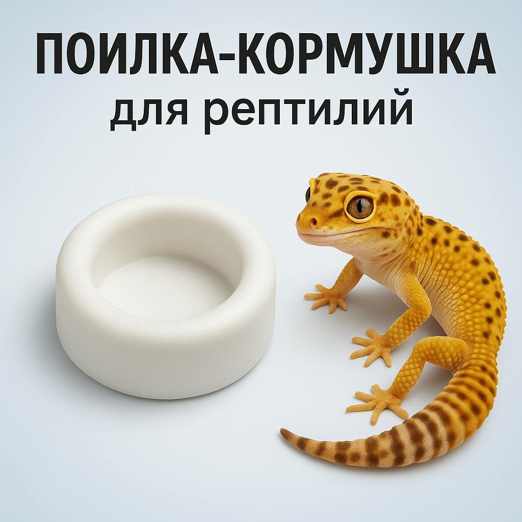 Поилка кормушка для рептилий 30мм