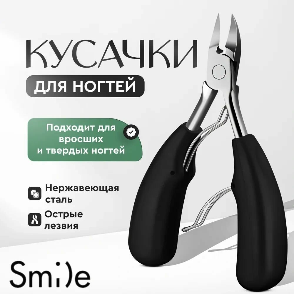 Книпсер