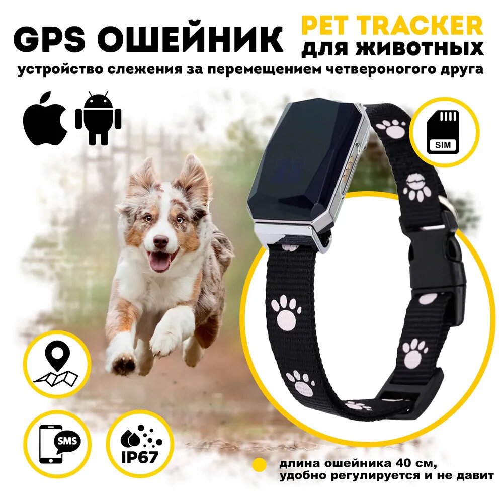 GPS-трекер для собак и кошек G12P, с ошейником, заряд до 5 дней