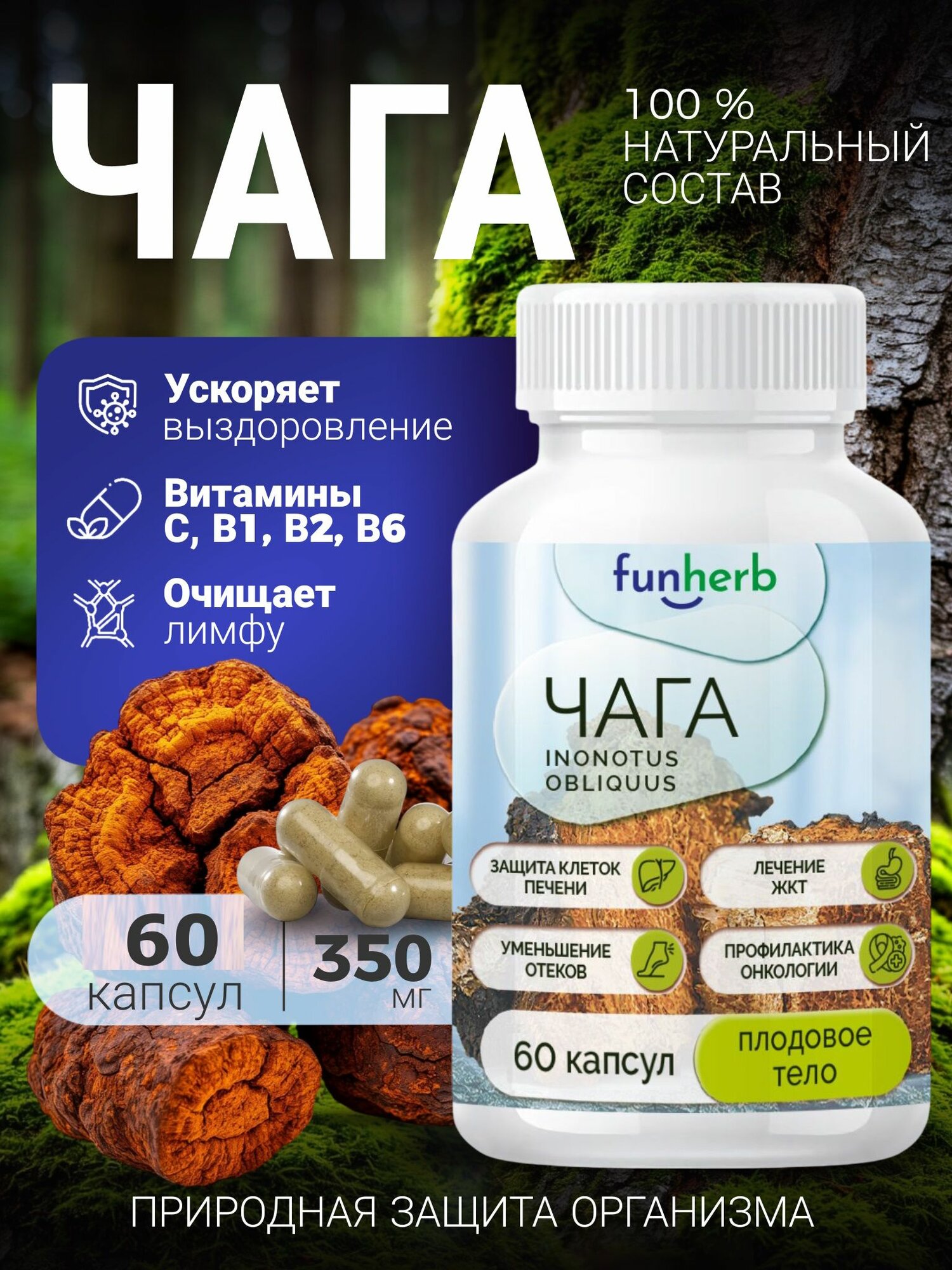 Чага березовая алтайская молотая в капсулах 60 капсул по 300 мг