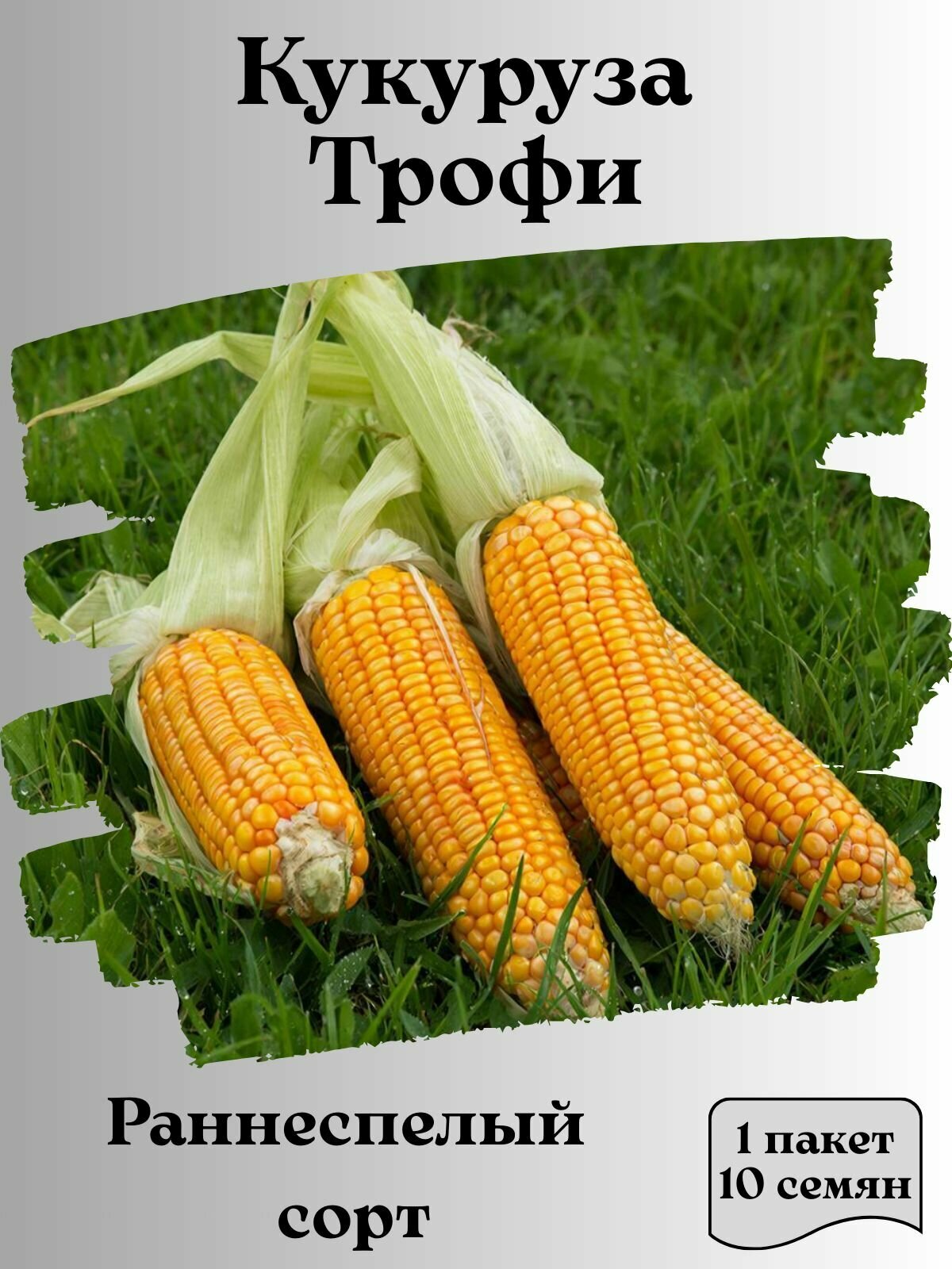 Кукуруза Трофи, семена, 10 шт, 15 гр.