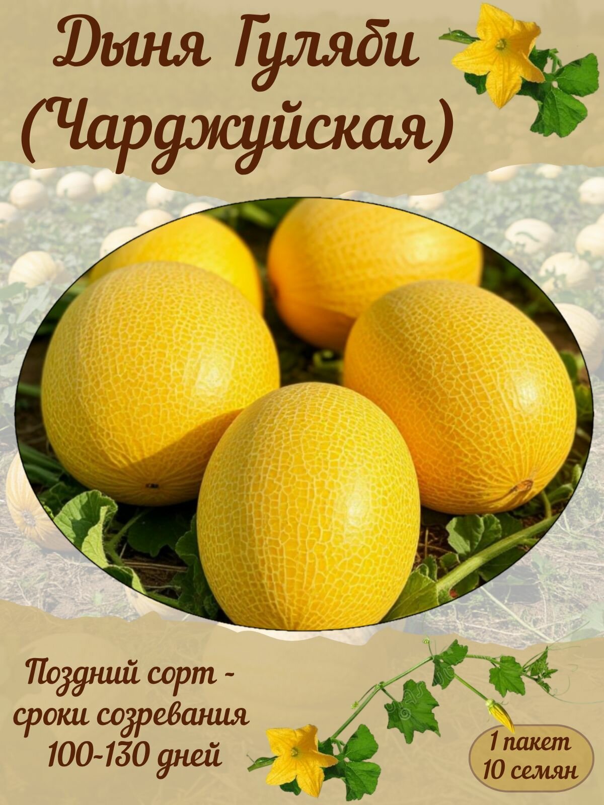 Дыня Гуляби (Чарджуйская), 10 шт, 15 гр.