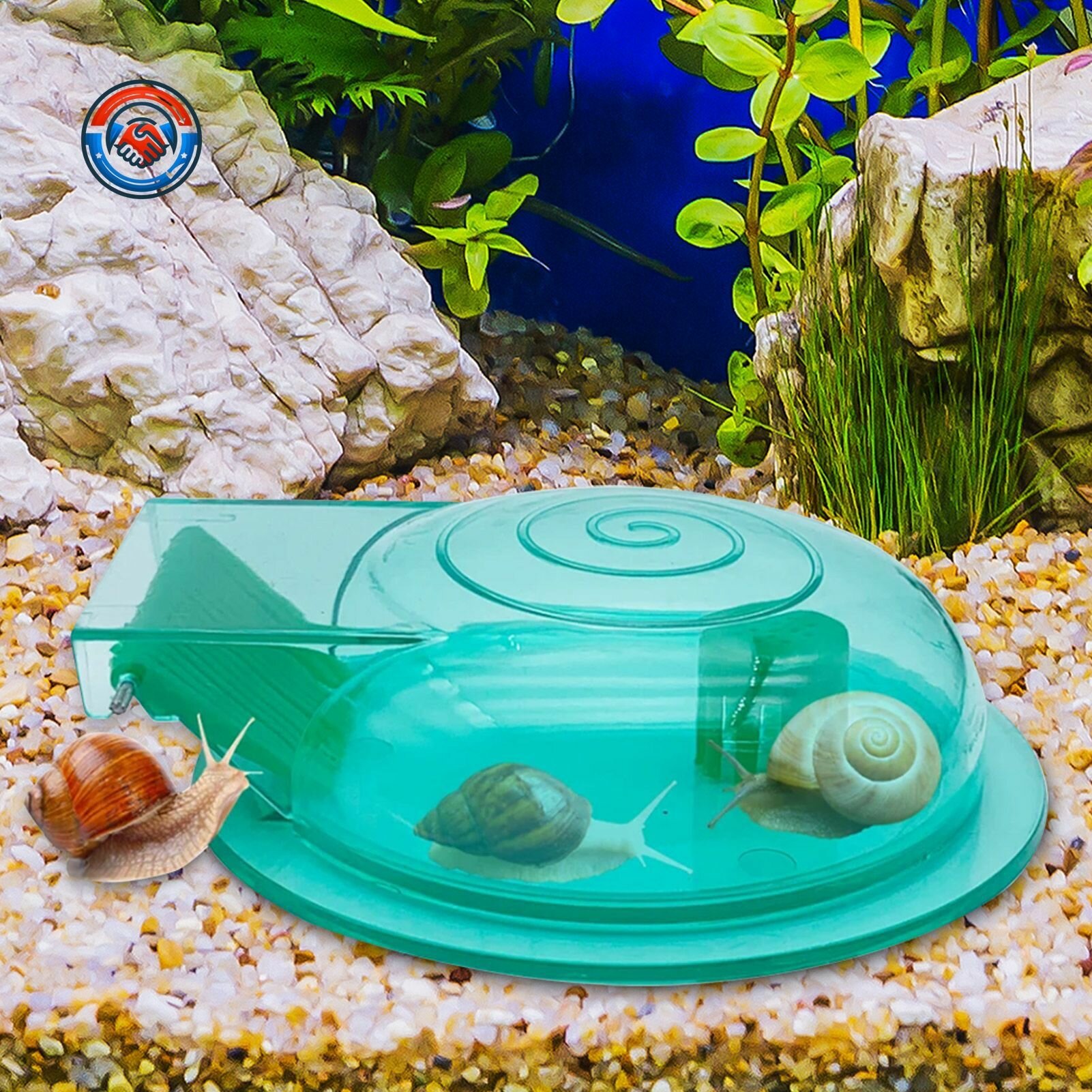 Прозрачная ловушка для улиток в аквариум, удобная безопасная ловушка-капкан для контроля популяции, прочный аквариумный аксессуар для чистоты воды и здоровья рыбок