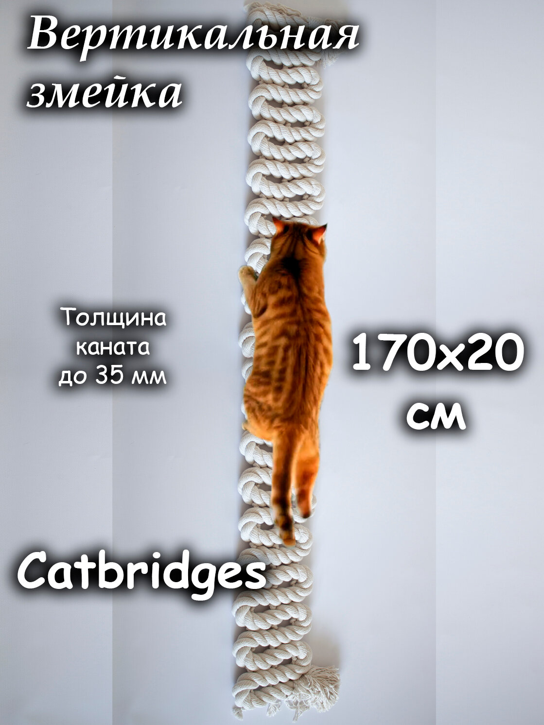 Вертикальная Змейка 170х20х3,2 см. С креплениями. Catbridges Настенный мост для кошек. Когтеточка. Лежанка.