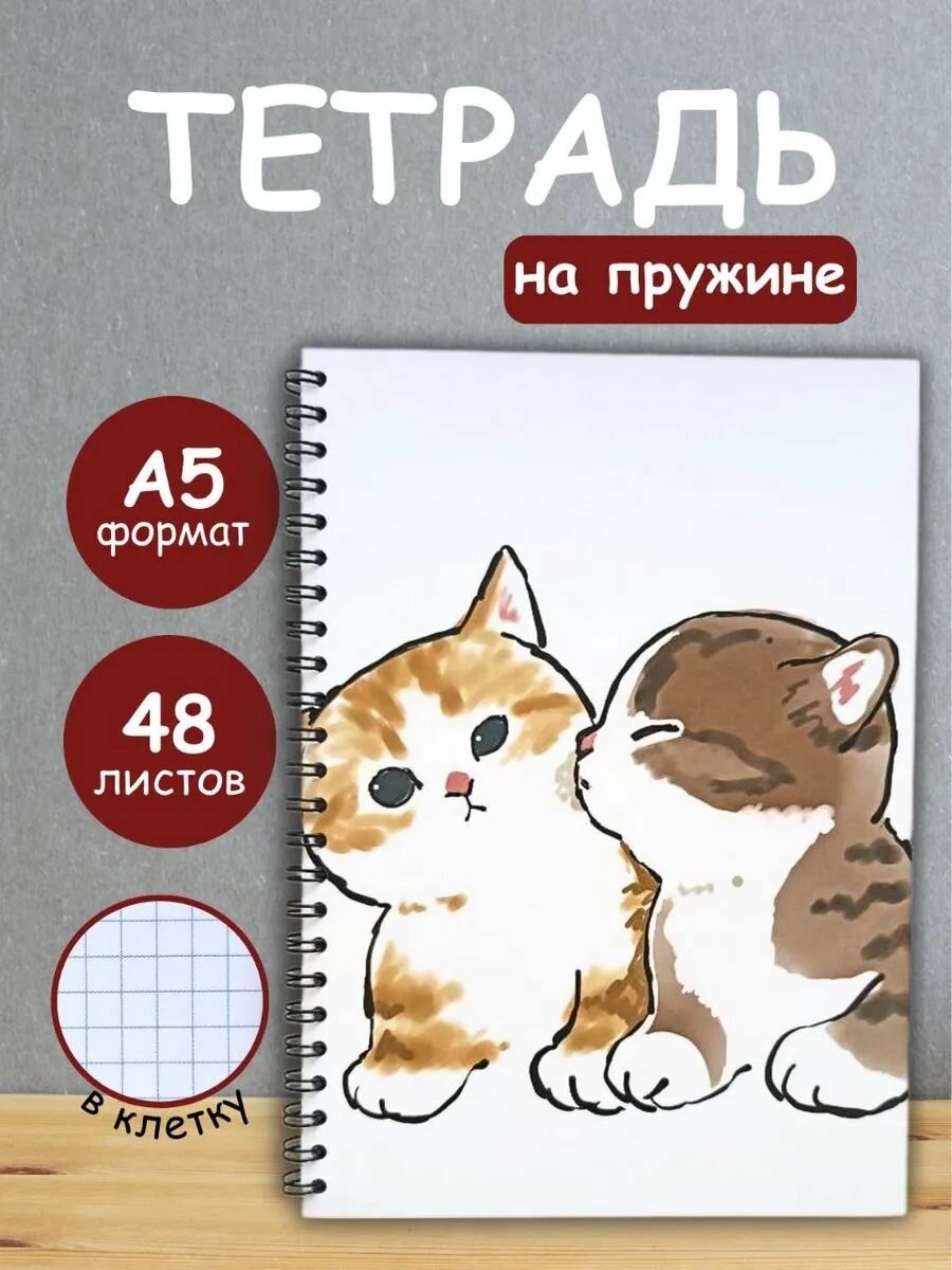 Тетрадь в клетку 48 листов на пружине , блокнот А5
