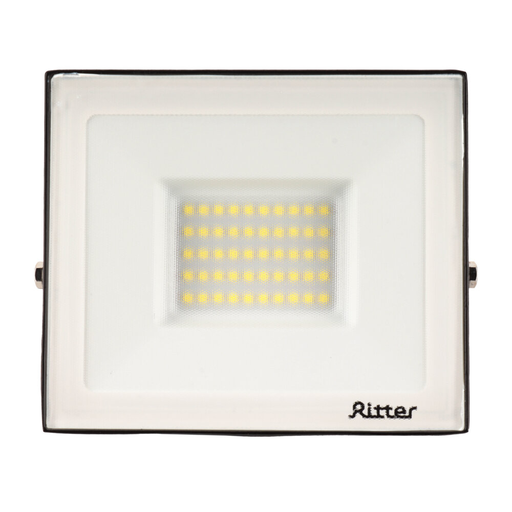 Прожектор светодиодный Ritter Profi 6500K 50 Вт IP65 черный