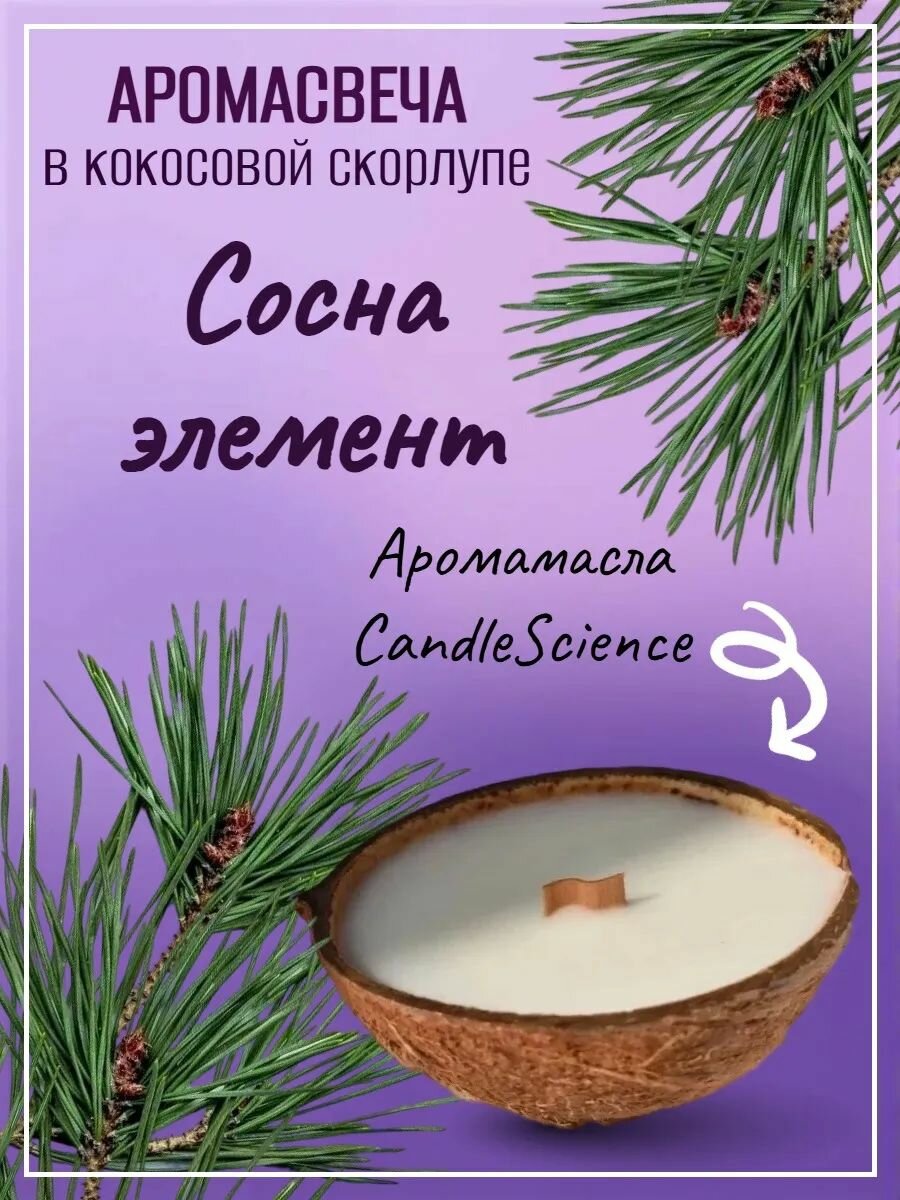 Аромасвеча L CandleScience Pine Element