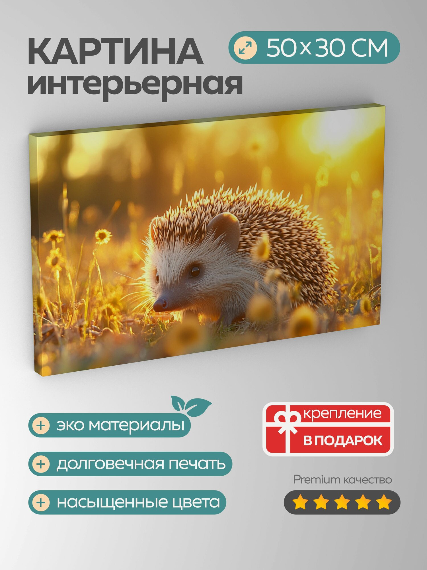 Картина на холсте интерьерная 50х30 см, Ежик, закат, поле, солнце, пища, разрешение, свечение, шипы, природа, детали.