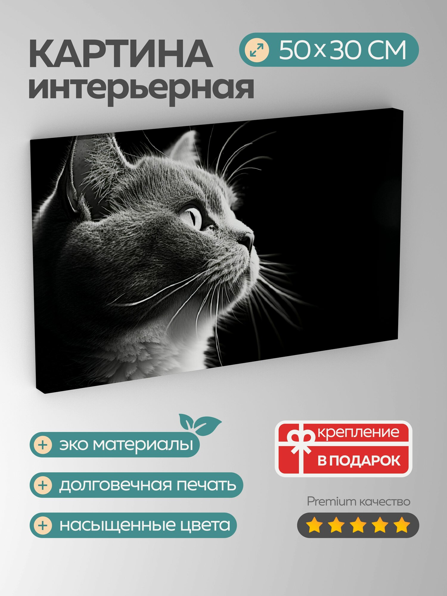 Картина на холсте интерьерная 50х30 см, черно-белая, фотография, британская короткошерстна, портретный стиль