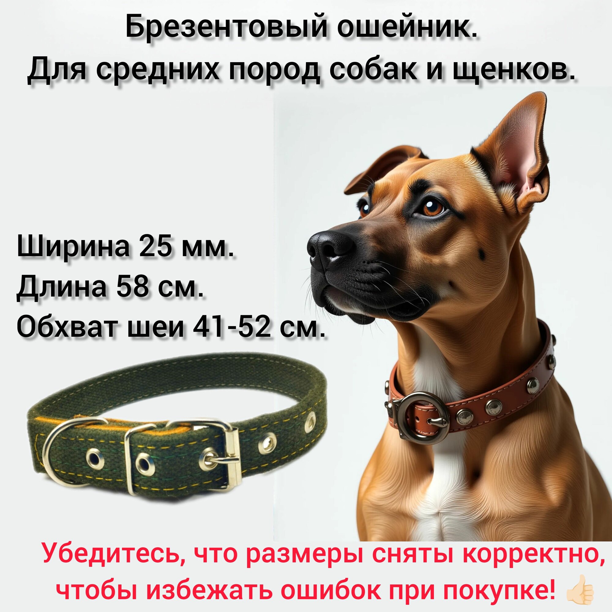 Ошейник брезентовый двухслойный для собак средних пород и щенков. Ширина 25 мм, длина 58 см, объём шеи 41-52 см.