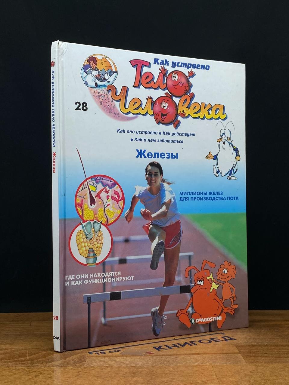 Книга. Как устроено тело человека. Выпуск 28. Железы 2007 (2043705056871)