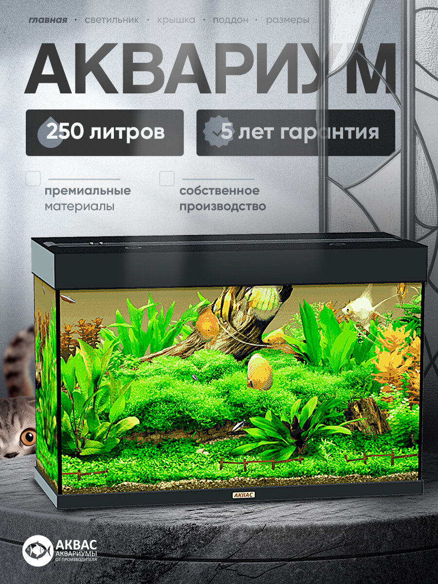 Аквариум 250 литров с крышкой и освещением, (101*41*69 см) Аквас