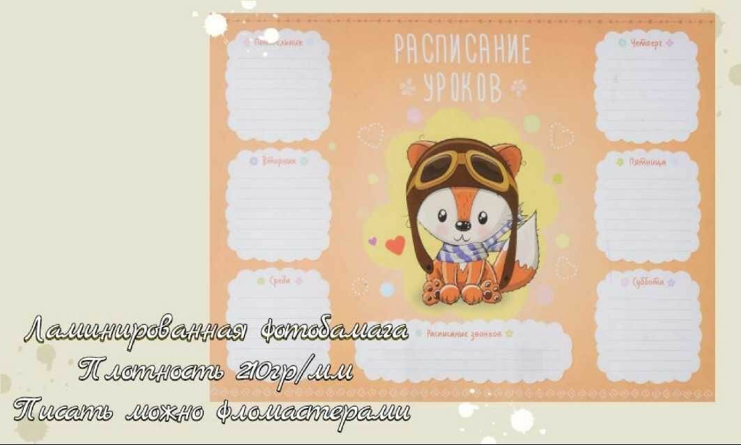 Многоразовое расписание уроков, формат А4, лисичка, желтый