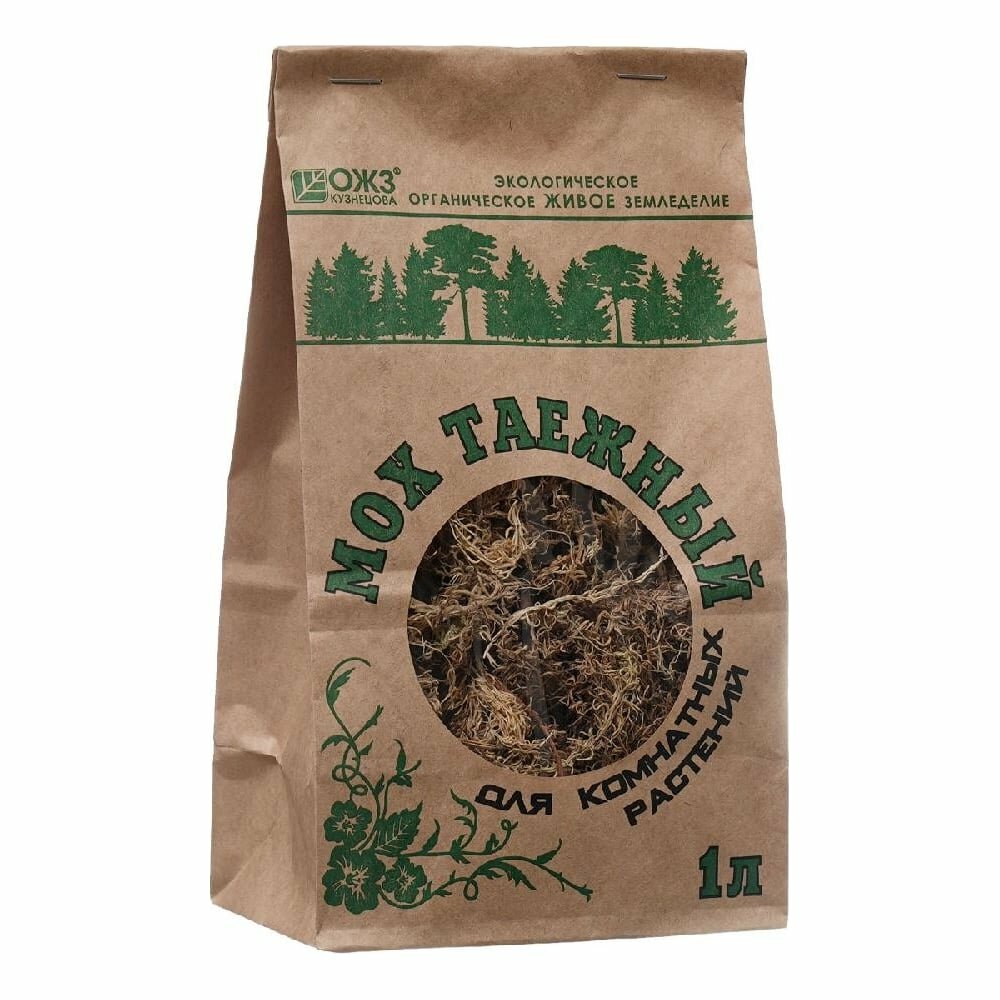 Таежный мох башинком Сфагнум