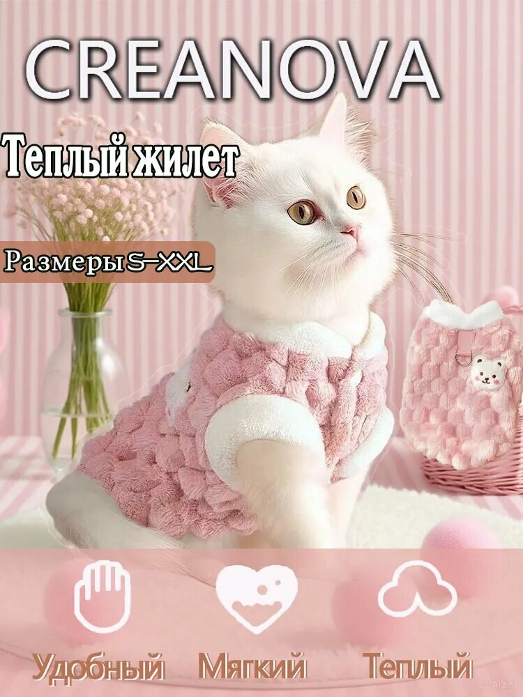 Одежда для кошек и собак