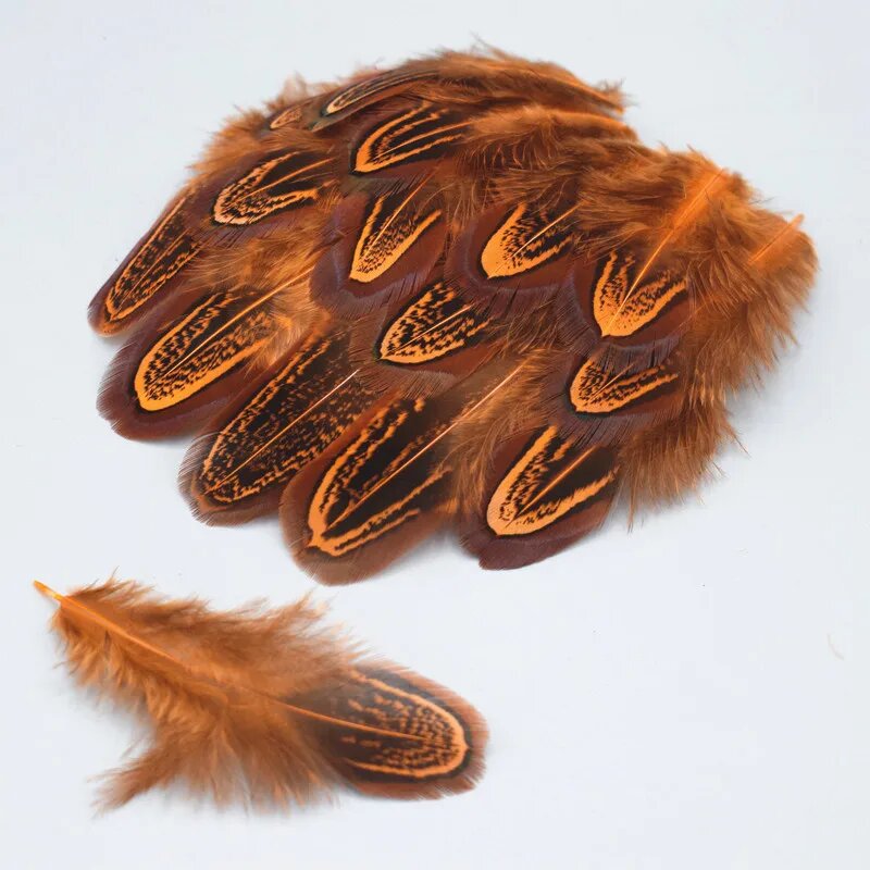 Золотые перья фазана 20 шт. CRAFTS Коричневый, Оранжевый