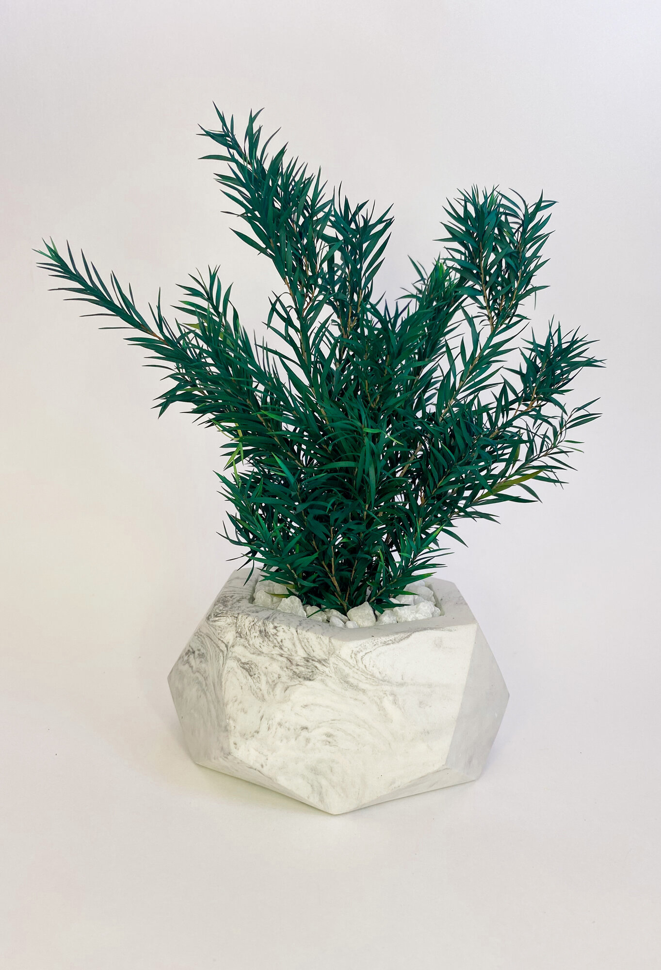 Кашпо GRANI с стабилизированным чайным деревом, букет.