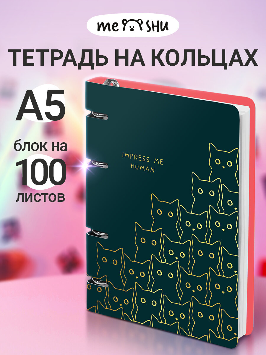 Тетрадь на кольцах А5, 100 листов, MESHU "Amazing cats", картон, матовая ламинация, выборочный УФ-лак