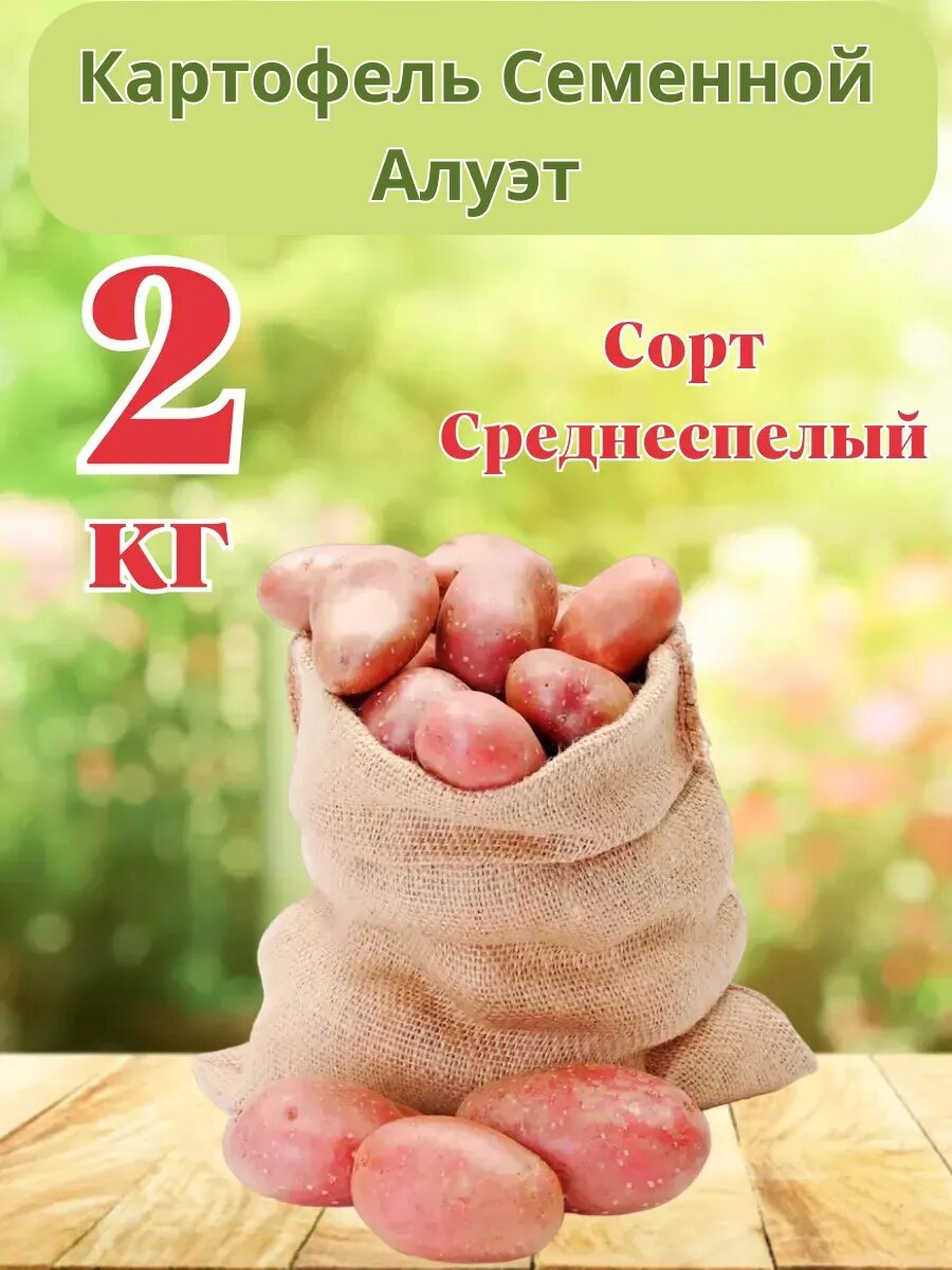Картофель семенной " Алуэт" 2 кг