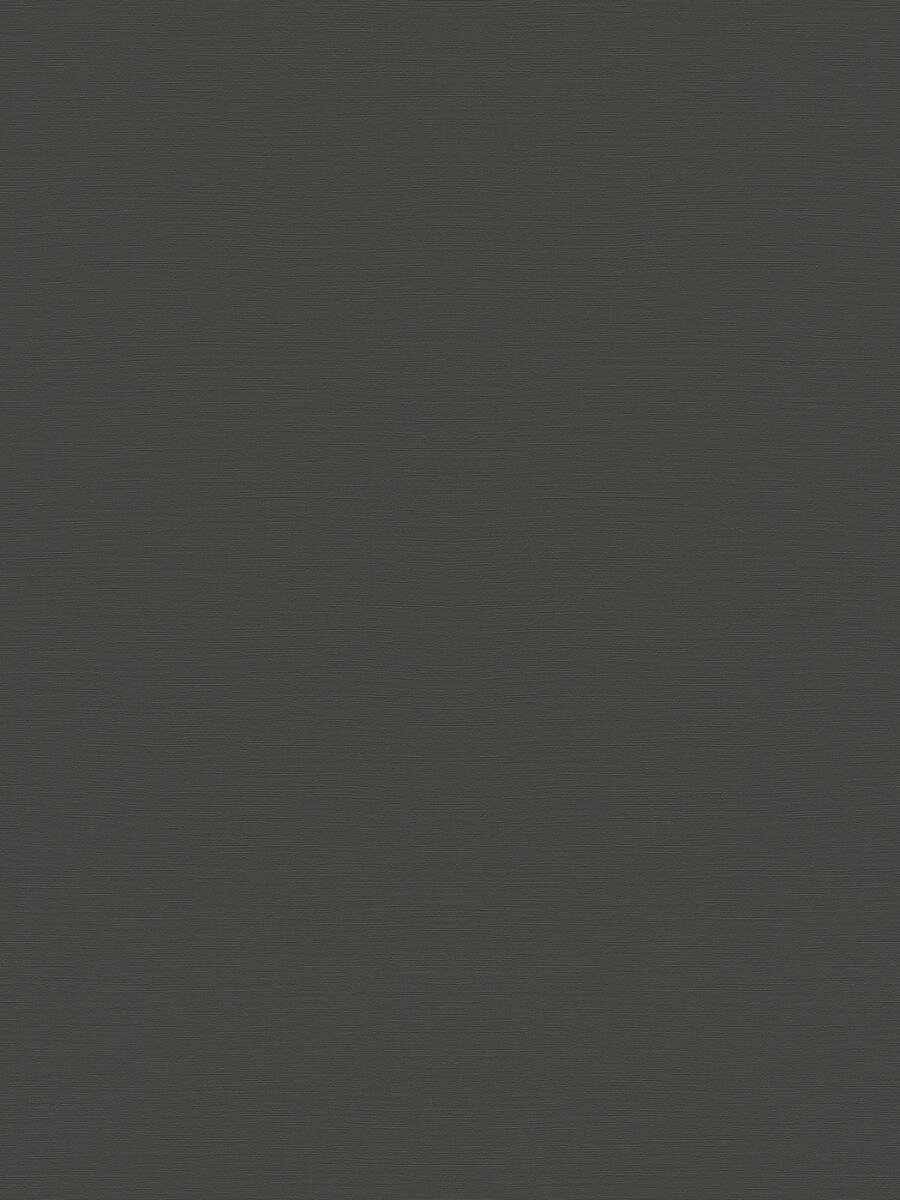 Обои Rasch Garden 0.53 x 10.05 688023 на флизелиновой основе, цвет черный, моющиеся, рисунок однотонные