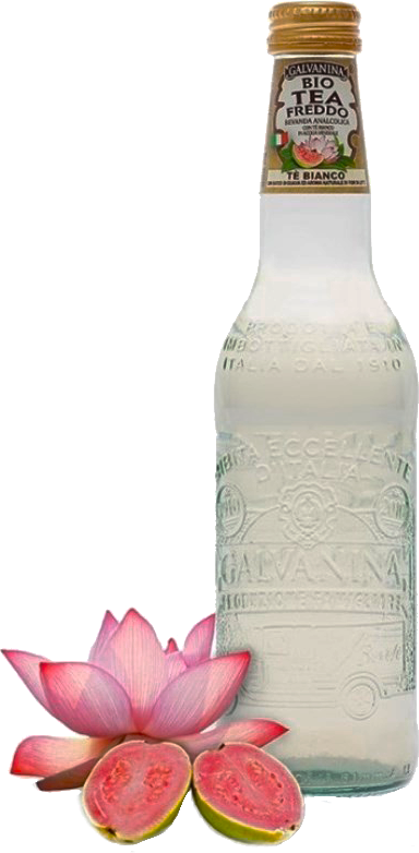 Чай холодный Galvanina "TE BIANCO"(белый), 355мл стекло, 1шт.