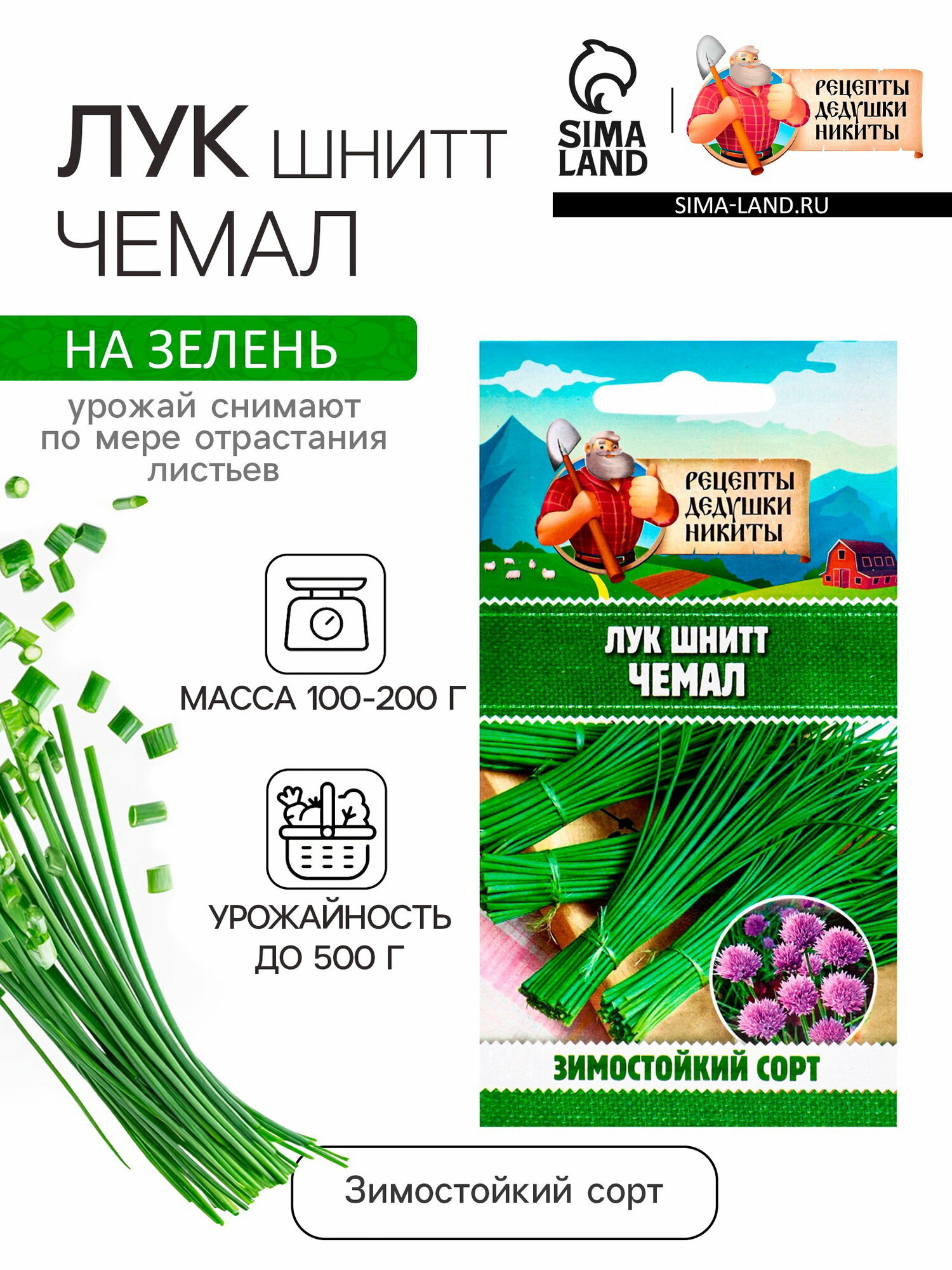 Семена Лук шнитт "Чемал", 0.2 г, посев (посадка) в грунт: апрель