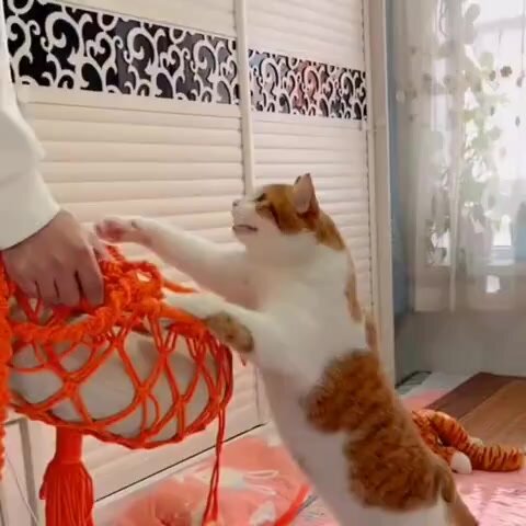 Гамак лежанка для кошек подвесная, вязаная, текстиль