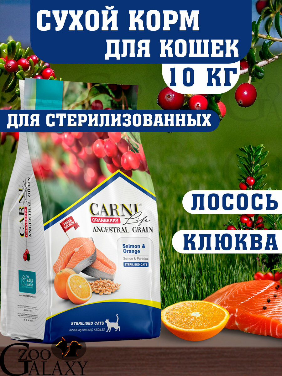 CARNI Корм для стерилизованных кошек лосось, апельсин 10 кг