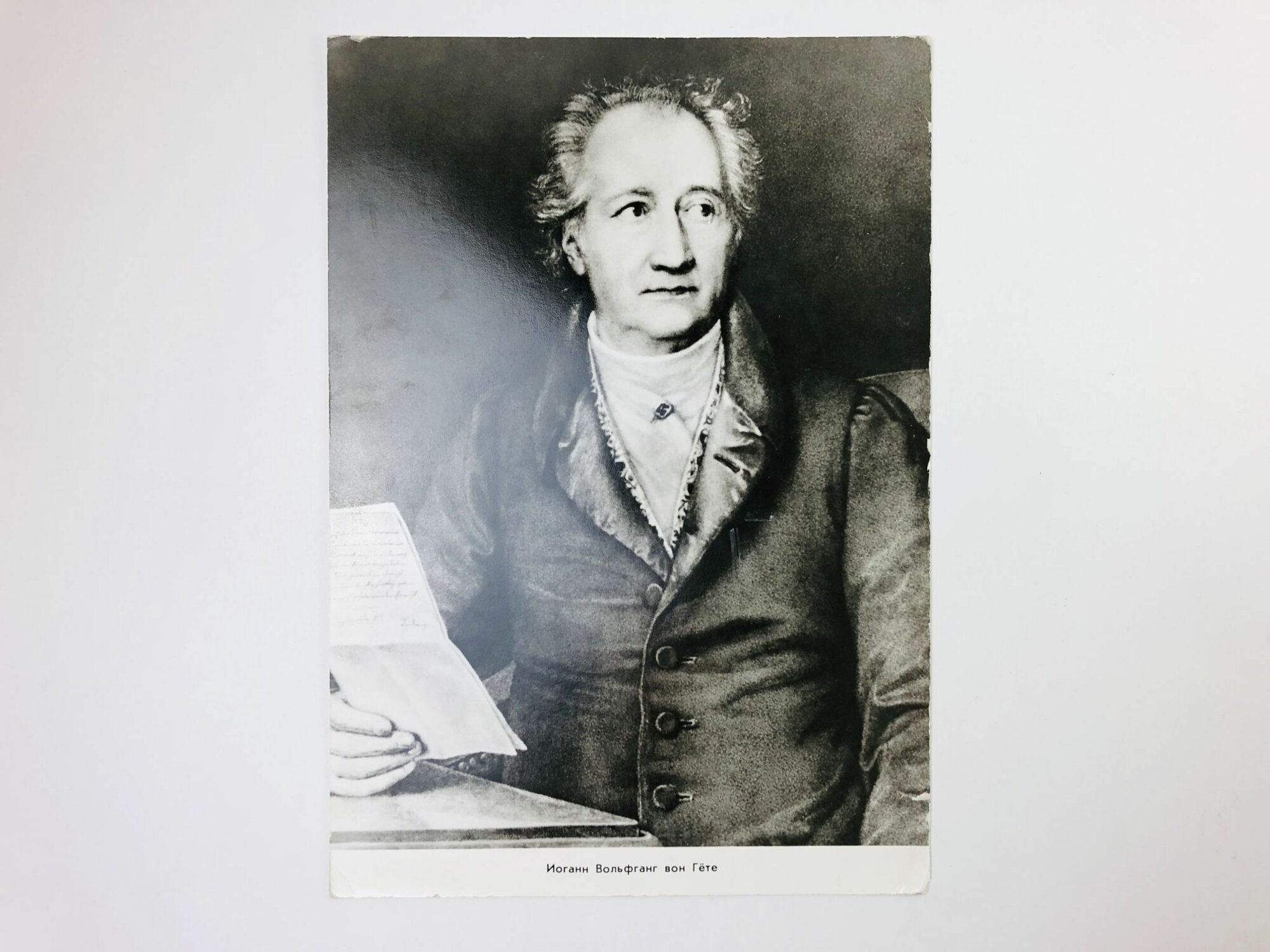 Портрет. Иоганн Вольфганг фон Гете. Немецкий поэт