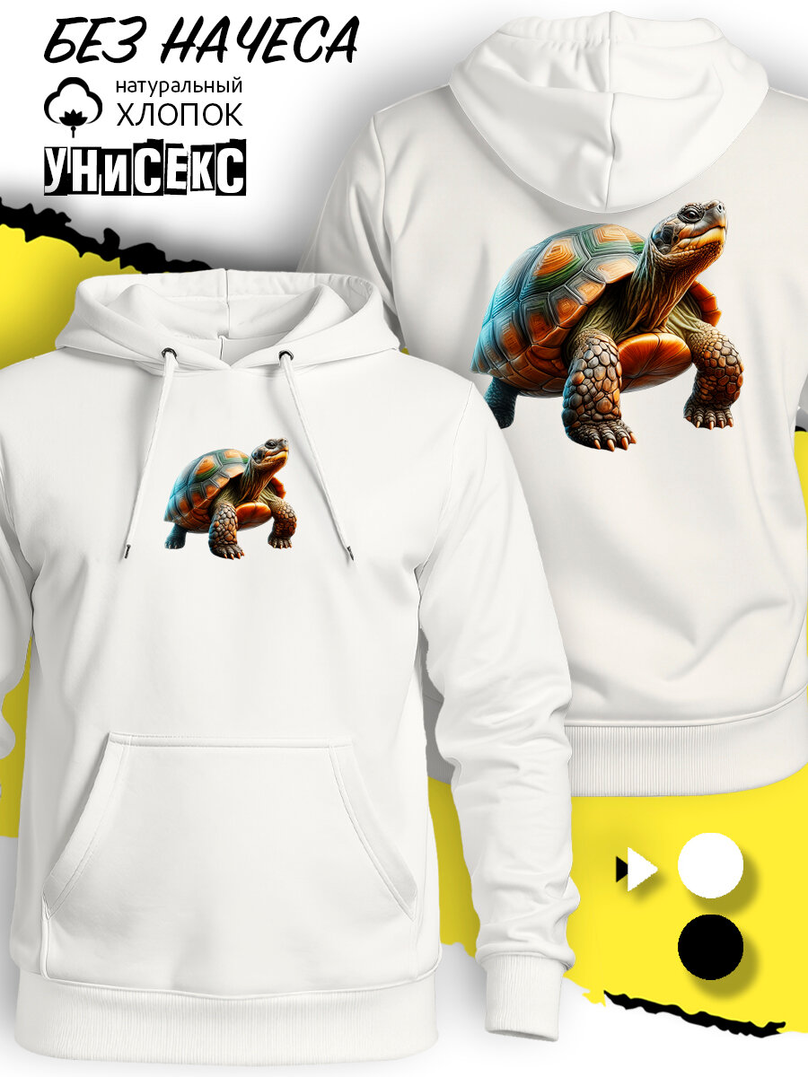 Худи Толстовка свитшот черепаха