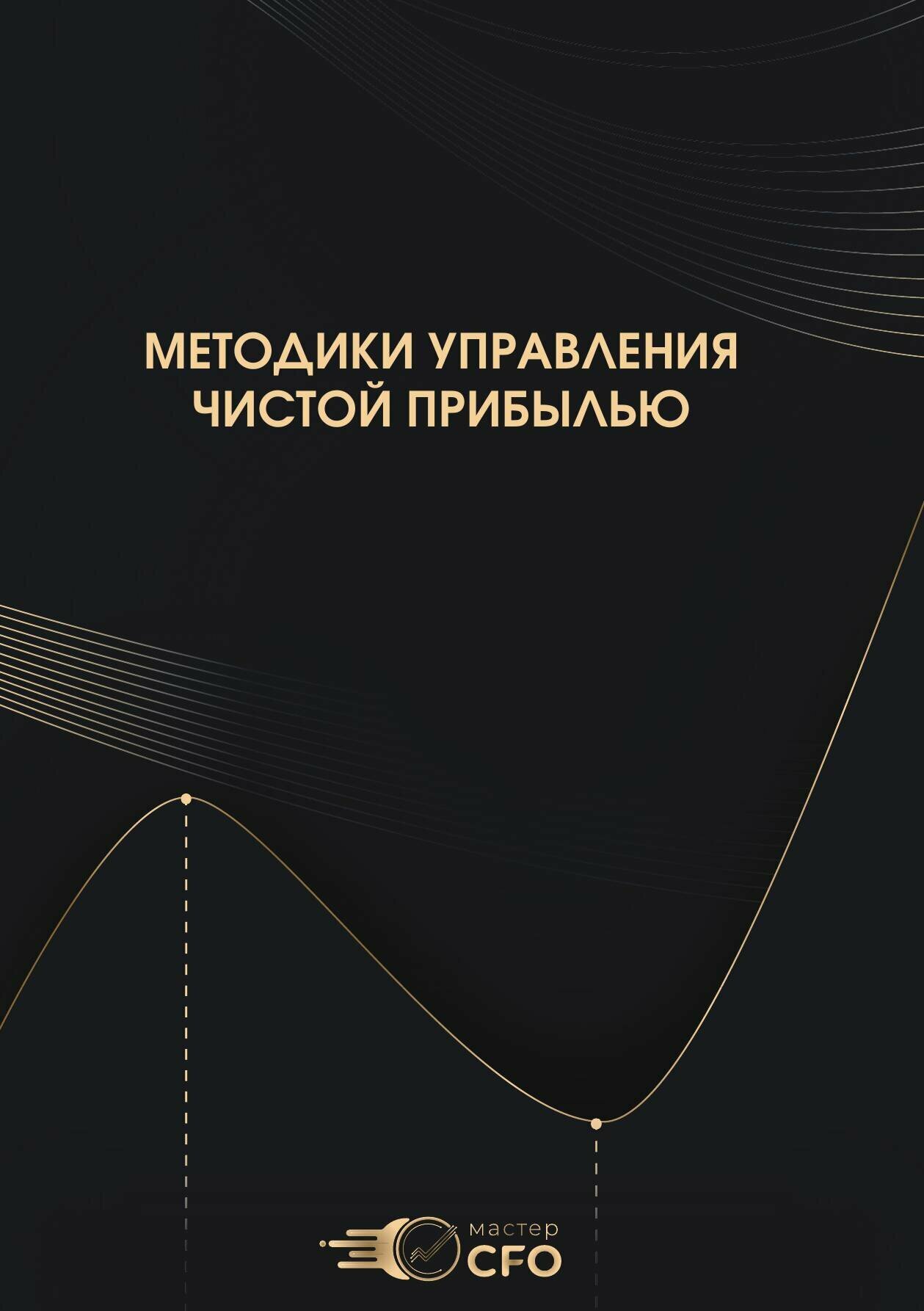 Методики управления чистой прибылью: мастер CFO