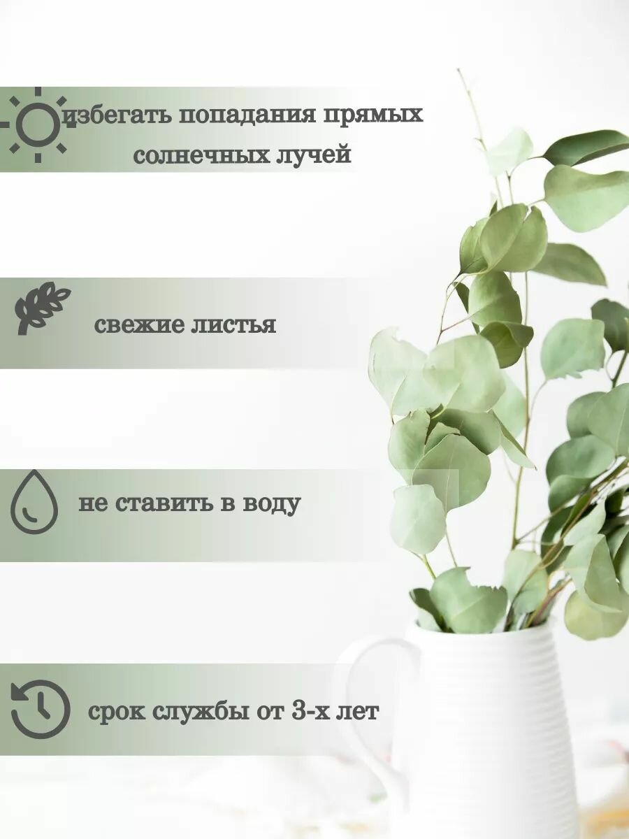 Сухоцветы — фото 1