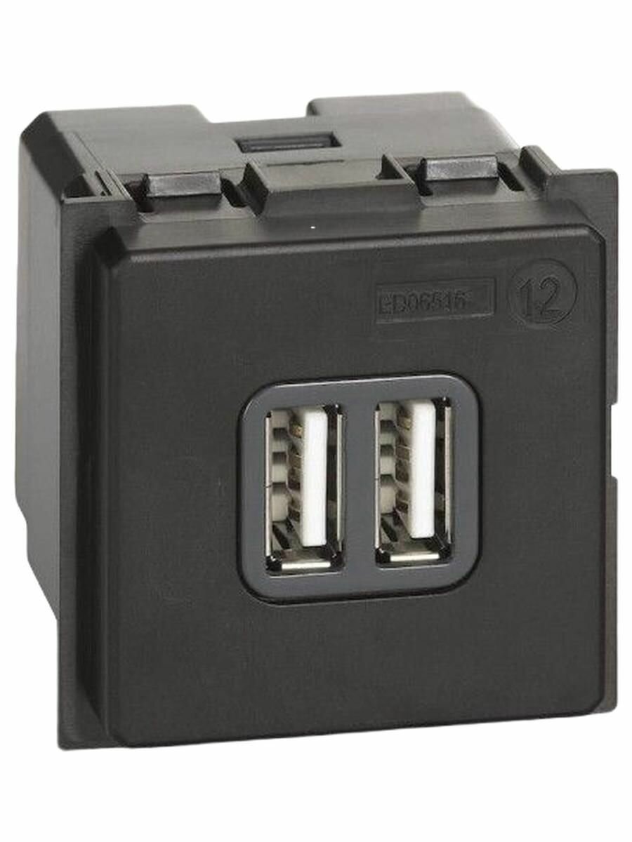 Зарядное устройство USB тип А-A 3000мА 2 модуля. Bticino LIVING NOW K4285C2