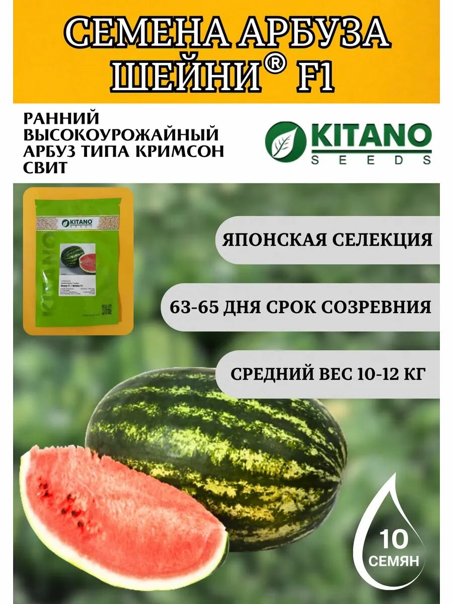 Профессиональные семена арбуза Шейни F1 10 штук Kitano seeds