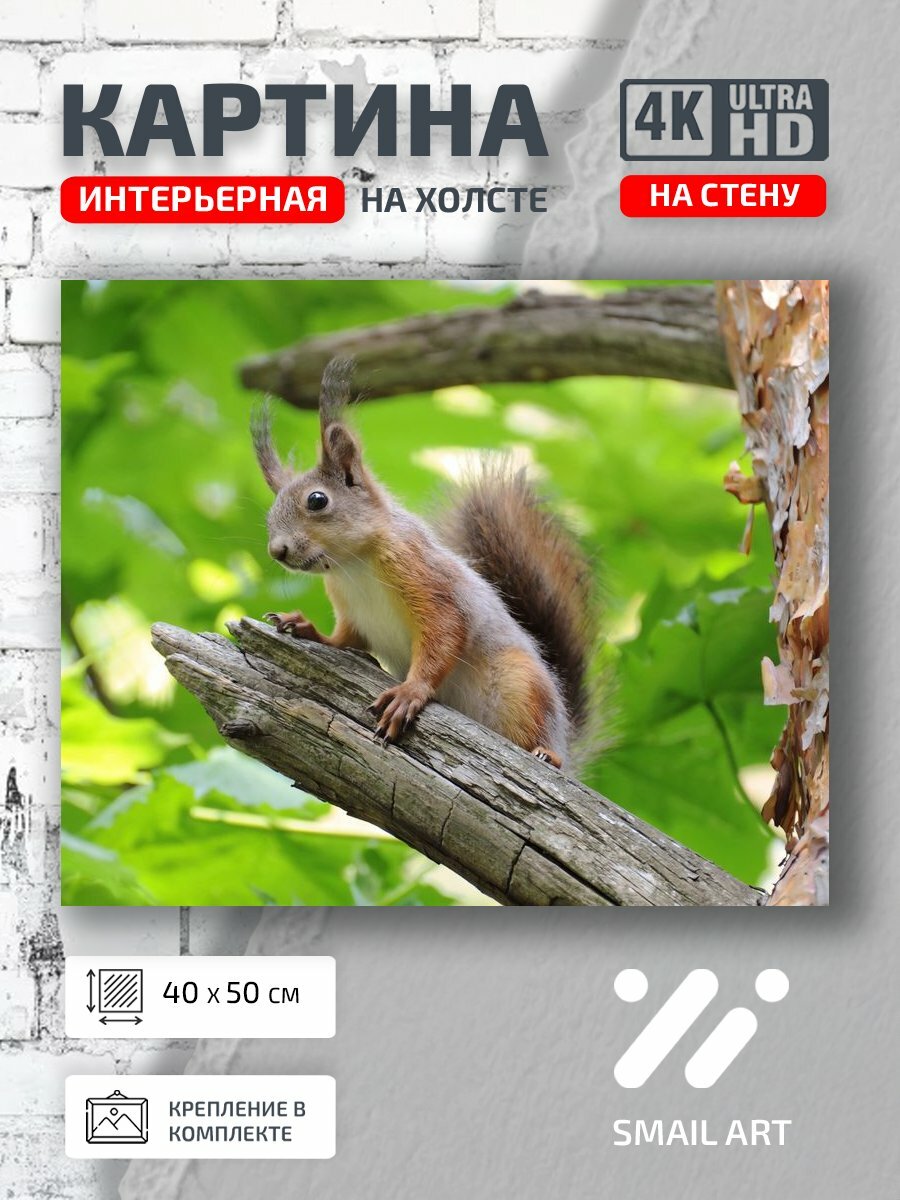 Картина на холсте интерьерная 40 на 50 на стену Дереве Mood для студии атмосфера интерьер