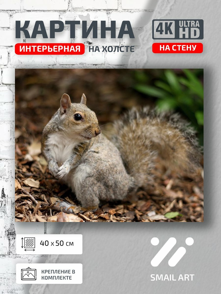 Картина на холсте интерьерная 40 на 50 на стену Листьях Mood для офиса атмосфера интерьер