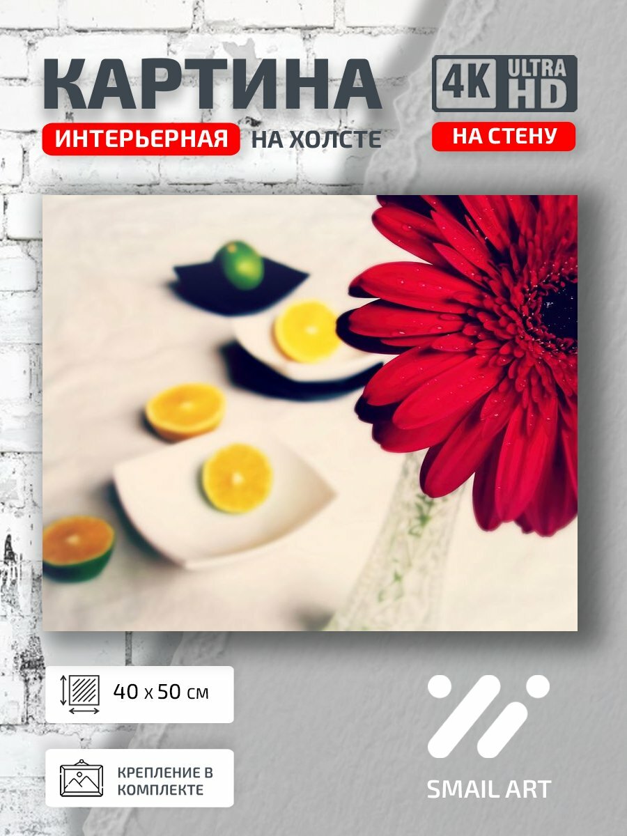Картина на холсте интерьерная 40 на 50 на стену Капли macro для гостиной макро интерьер