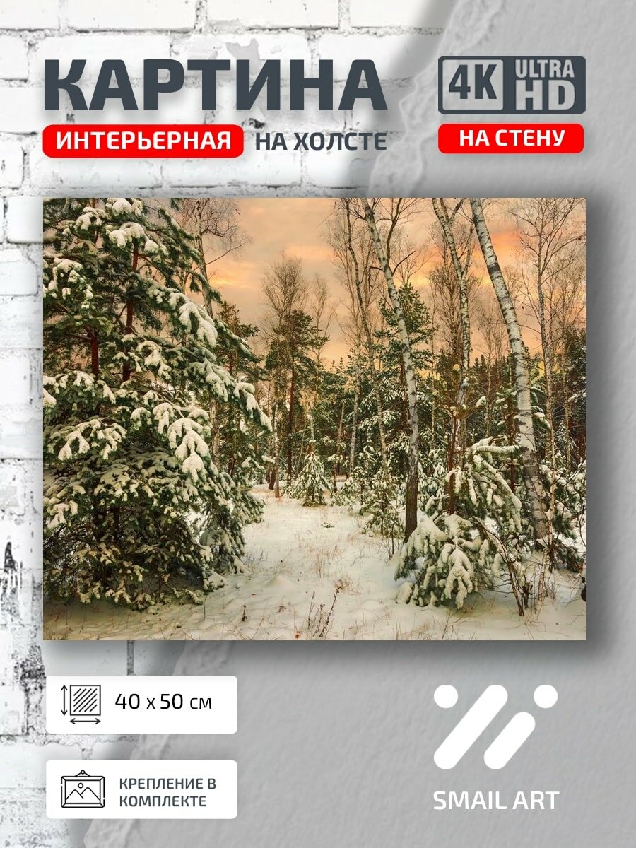 Картина на холсте интерьерная 40 на 50 на стену Зимний лес для офиса пейзаж