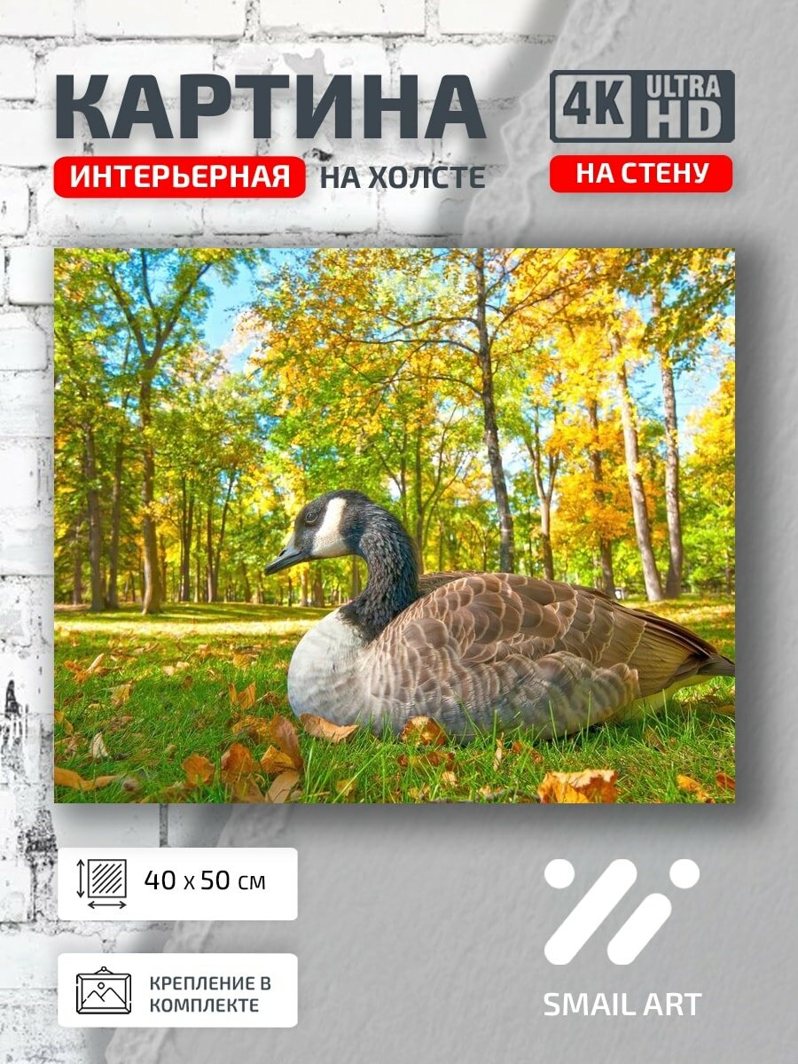 Картина на холсте интерьерная 40 на 50 на стену парк гусь для студии атмосфера