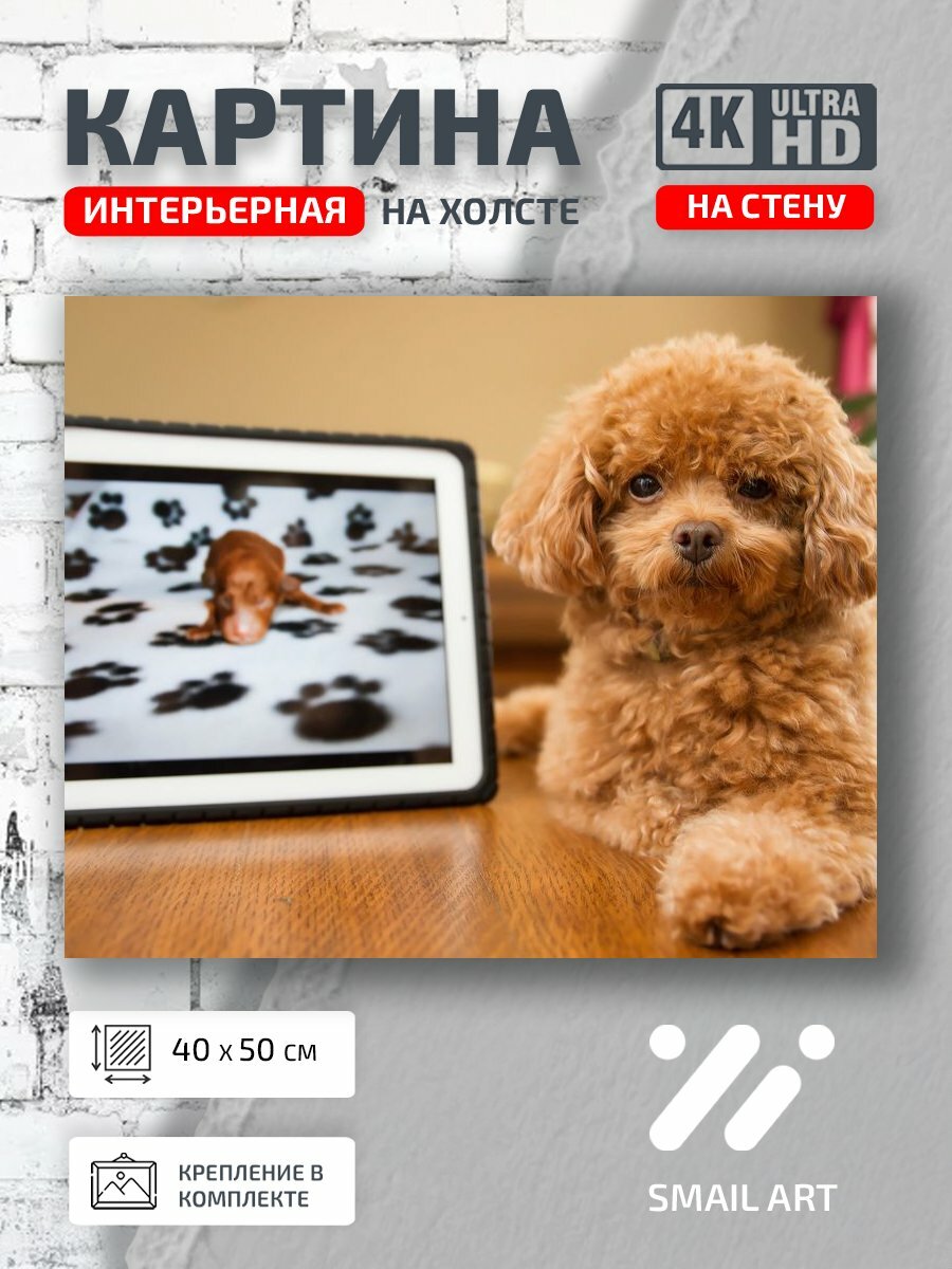 Картина на холсте интерьерная 40 на 50 на стену Собачка Animal для детской animal style