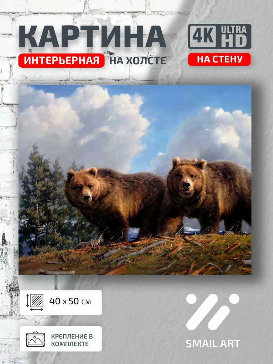 Картина на холсте интерьерная 40 на 50 на стену Небо Animal для детской animal style декор
