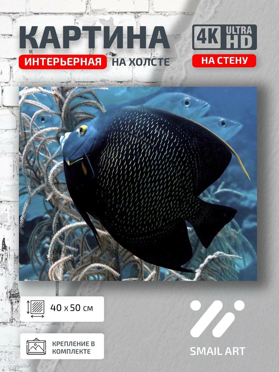 Картина на холсте интерьерная 40 на 50 на стену Рыба ангел для гостиной атмосфера