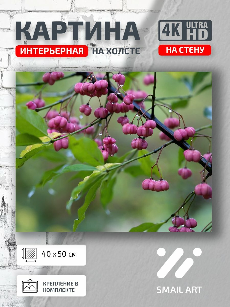 Картина на холсте интерьерная 40 на 50 на стену Деревья branch для спальни пейзаж интерьер