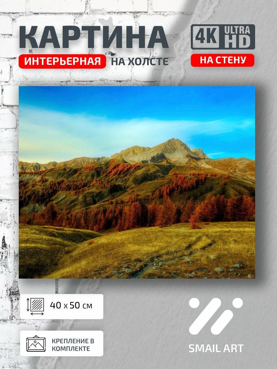 Картина на холсте интерьерная 40 на 50 на стену Деревья Landscape для кабинета пейзаж декор