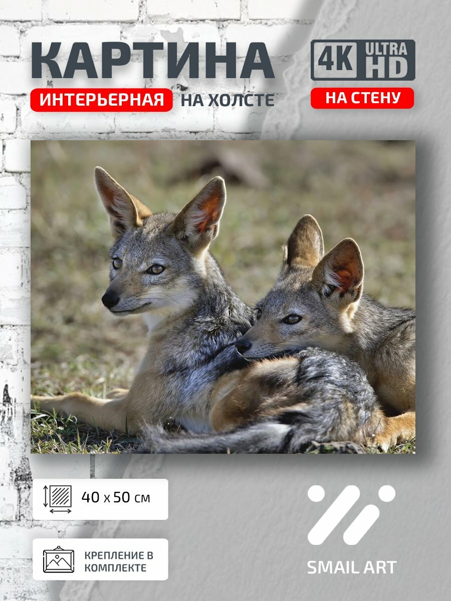 Картина на холсте интерьерная 40 на 50 на стену Живописная Masai для спальни атмосфера