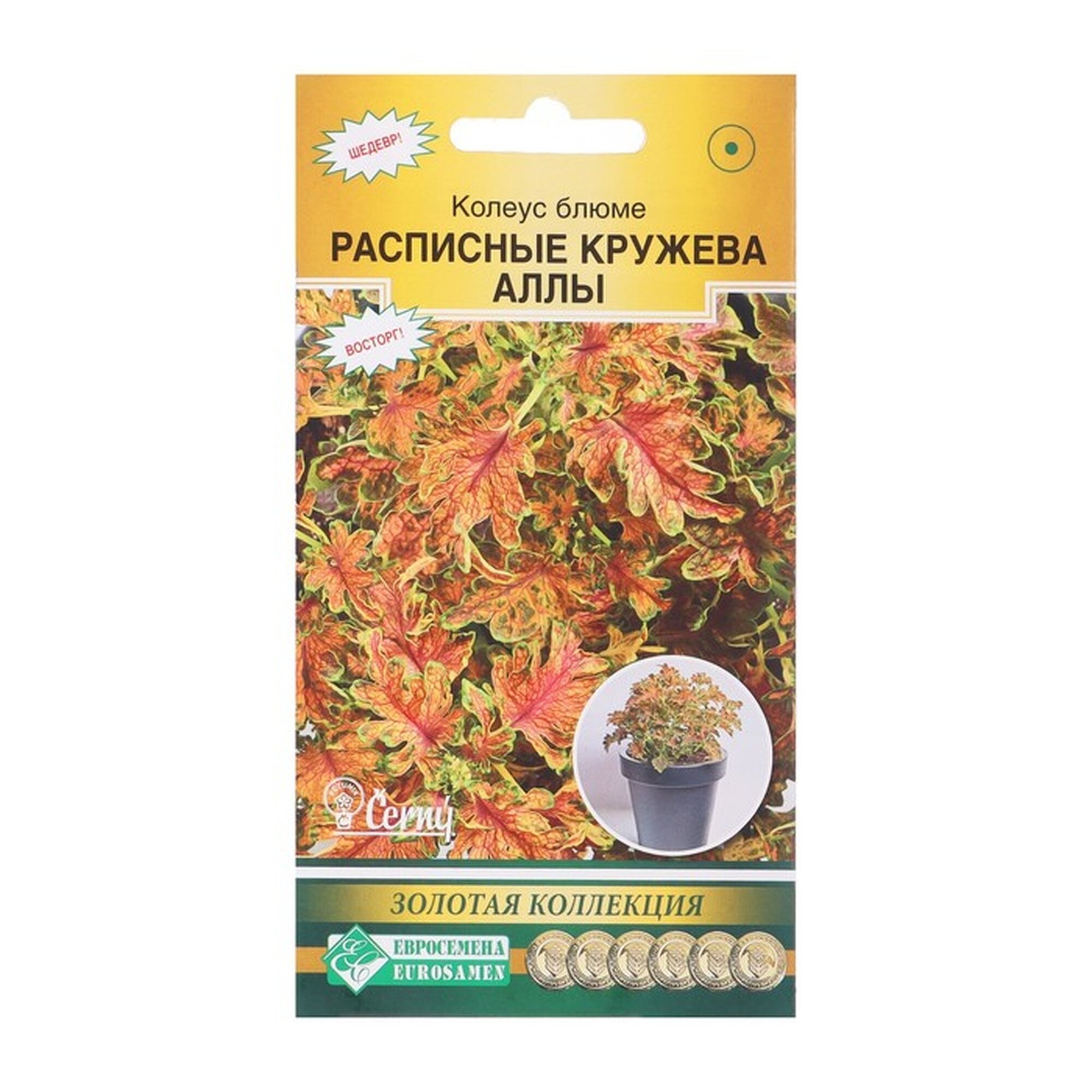 Семена Евросемена Колеус блюме "Кружева Аллы", в упаковке 10 штук